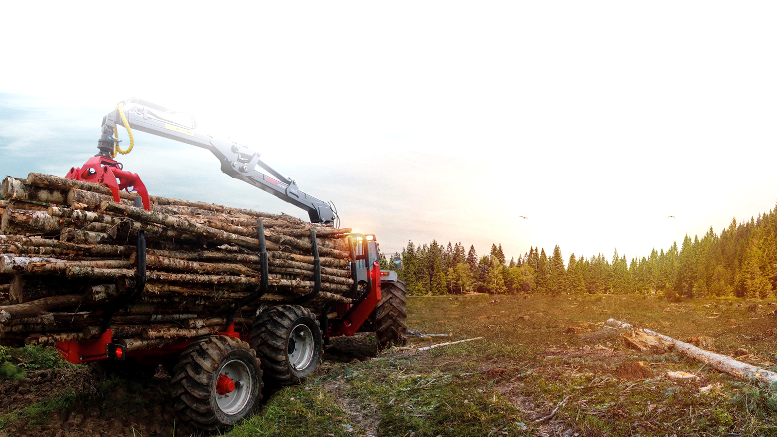 B200 Series - Black Bruin